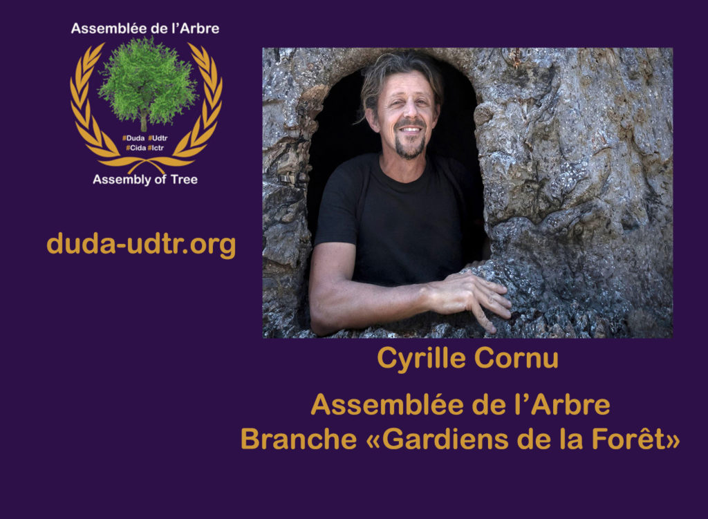 Cyrille Cornu, Gardien de la Forêt